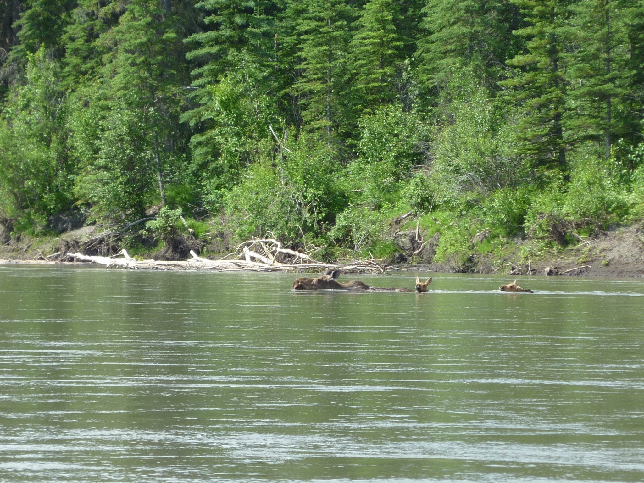 Upper Stikine River Canoeing - Stikine River Canoe Trip Expedition